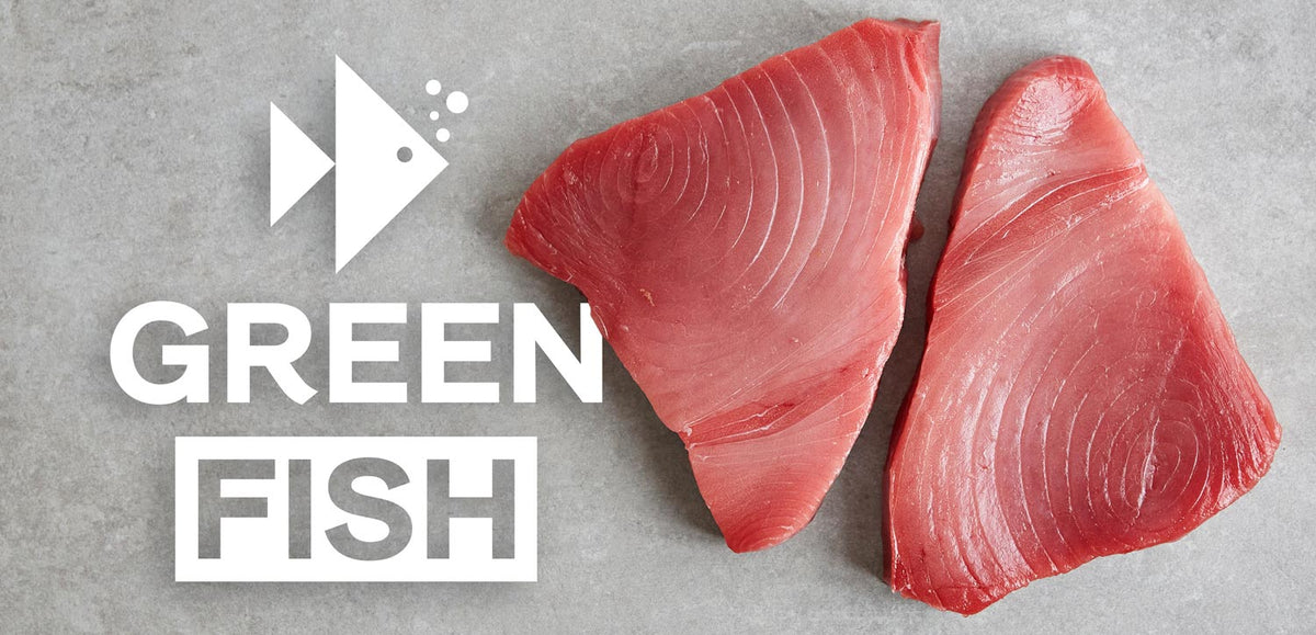 CATCH OF THE DAY #004 – Greenfish