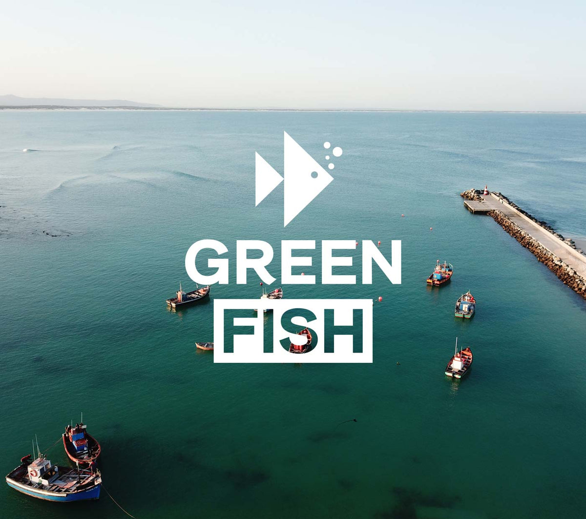 CATCH OF THE DAY #009 – Greenfish