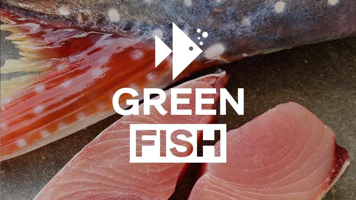 Catch of the Day #016 – Greenfish
