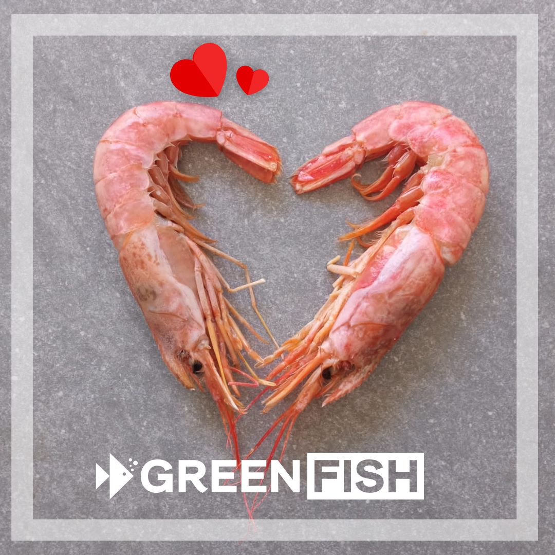 Catch of the Day #044 – Greenfish