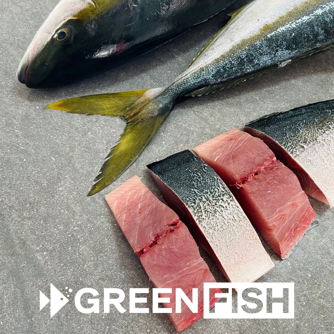 Catch of the Day #045 – Greenfish