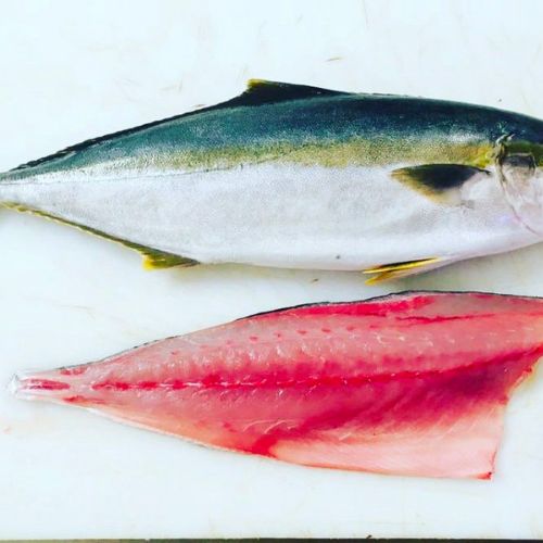 How to Pin Bone a Yellowtail Fillet | Fish Preparation Guides | Fishwi ...