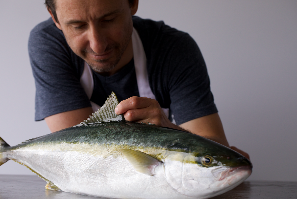 Hook to Plate – Greenfish