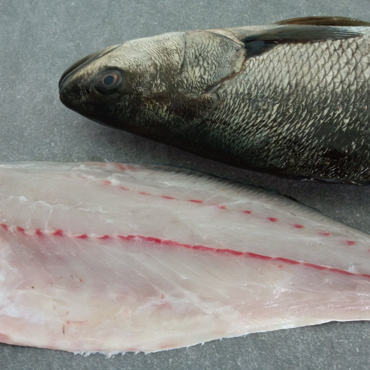 Kabeljou Fillets | Fresh Fish Box | Cultivated – Greenfish