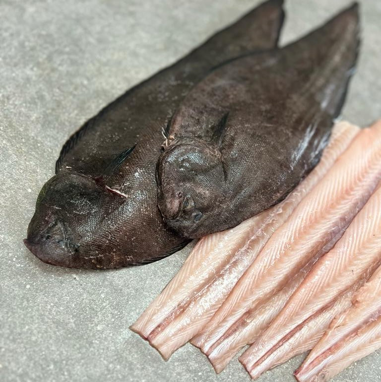 West Coast Sole | Frozen Box | Wild caught | x4 – Greenfish