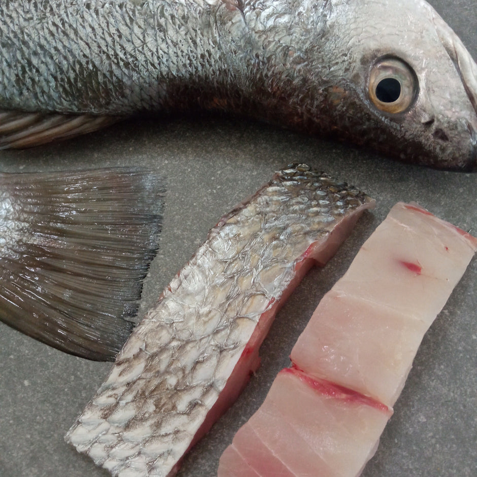 Greenfish Boxes - Fish Boxes – Page 2