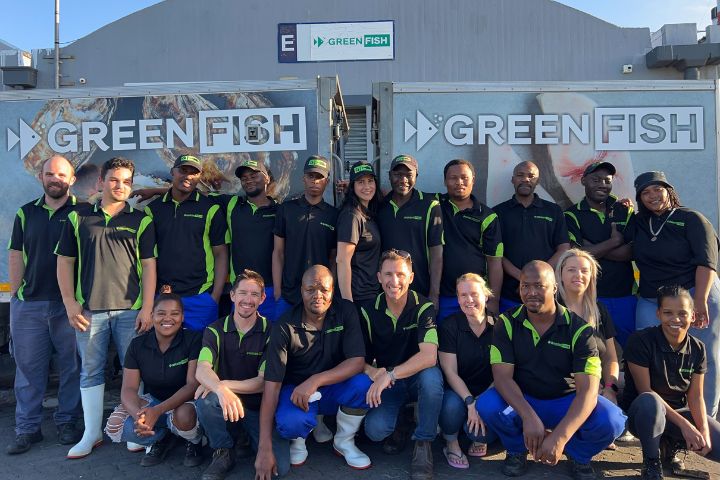 Our Story – Greenfish