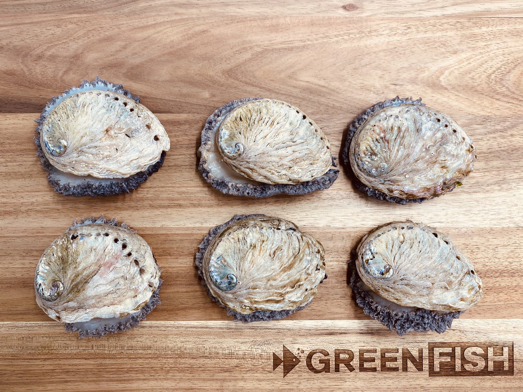 Abalone (perlemoen) | Live Box | Cultivated | x6 – Greenfish