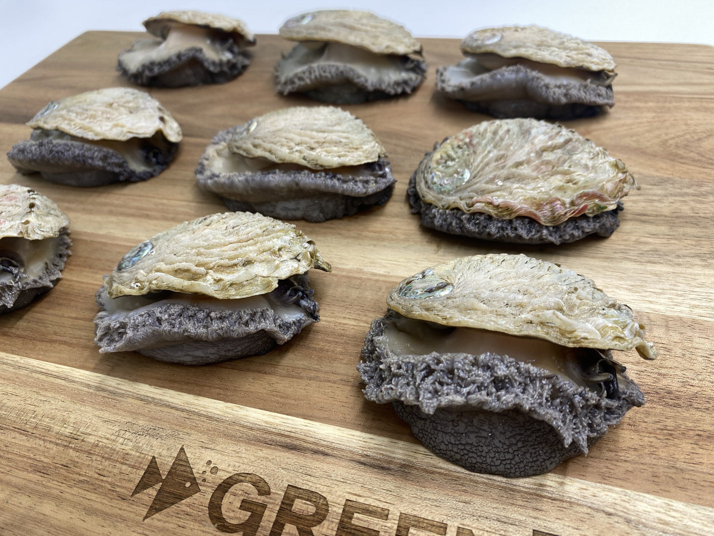 Abalone (perlemoen) | Live Box | Cultivated | x6 – Greenfish