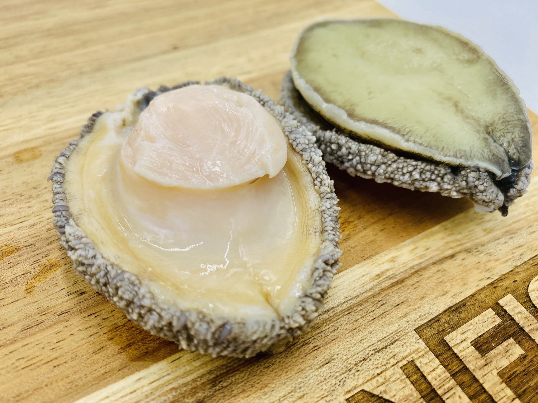 Abalone (perlemoen) | Live Box | Cultivated | x6 – Greenfish