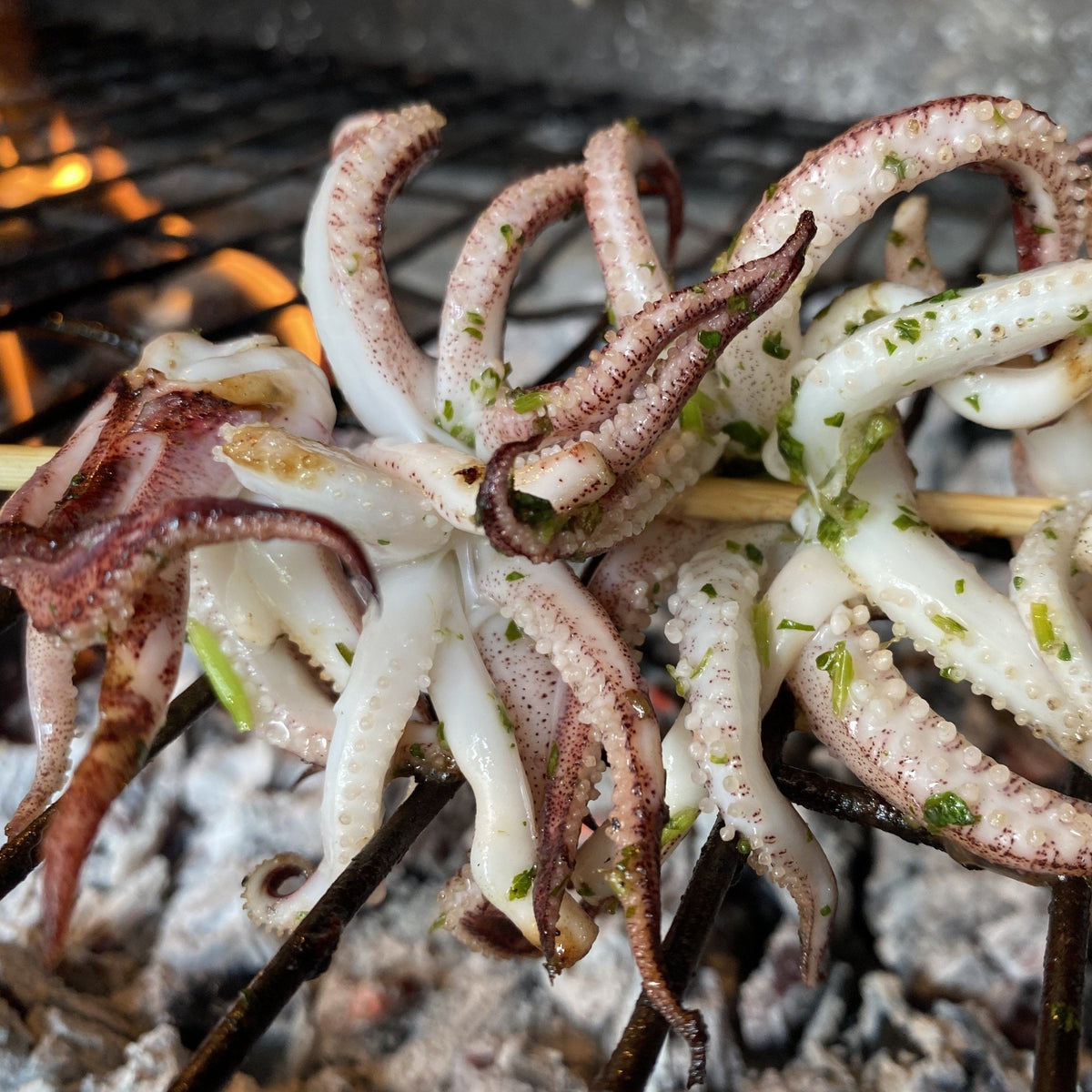 Chokka | Calamari | Frozen Box | 1.0kg | Wild caught – Greenfish