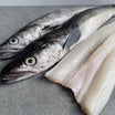 Classic Hake Bulk Box | Frozen Box | Wild caught | 7.5kg – Greenfish