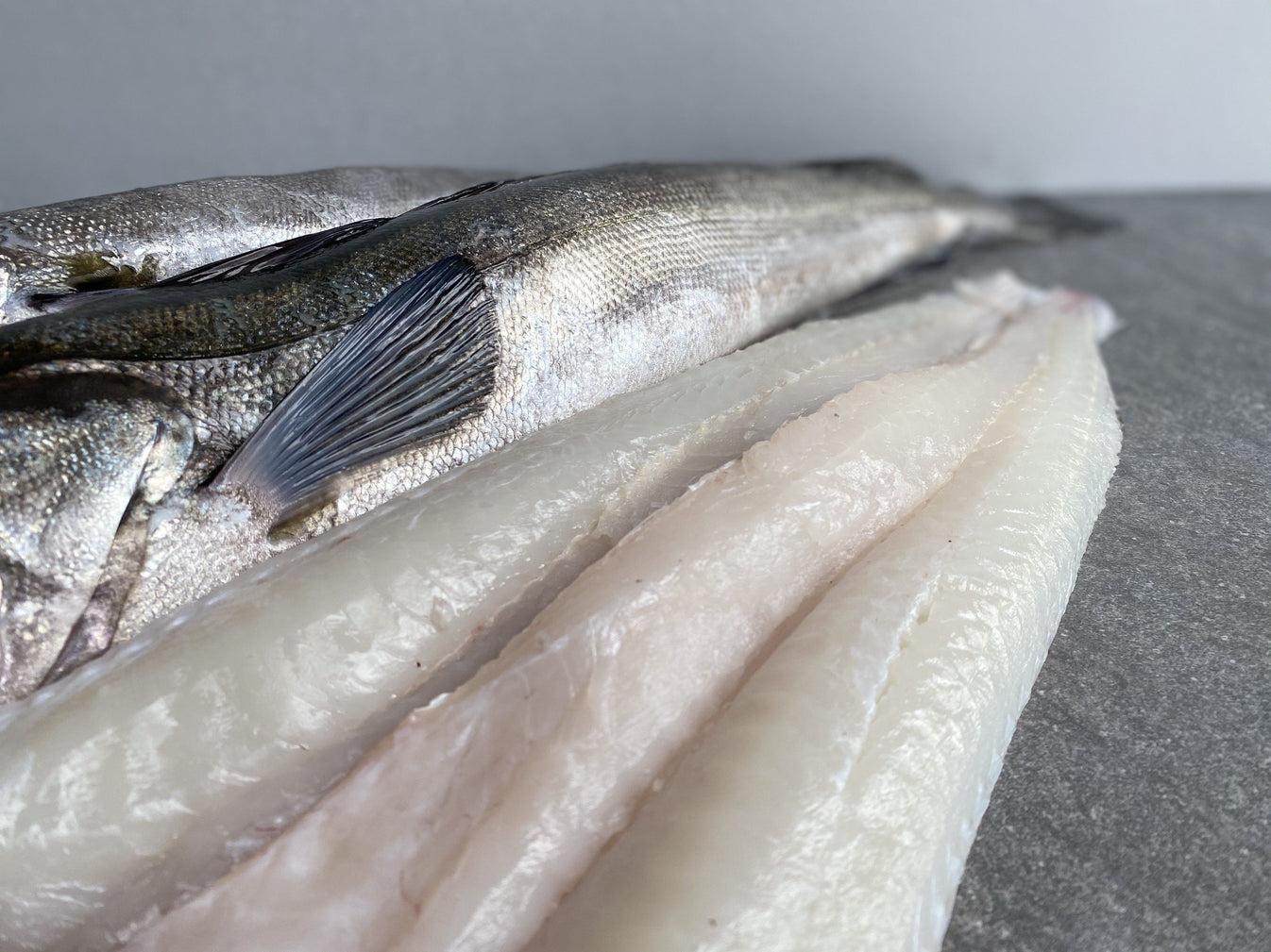 Classic Hake Bulk Box | Frozen Box | Wild caught | 7.5kg – Greenfish
