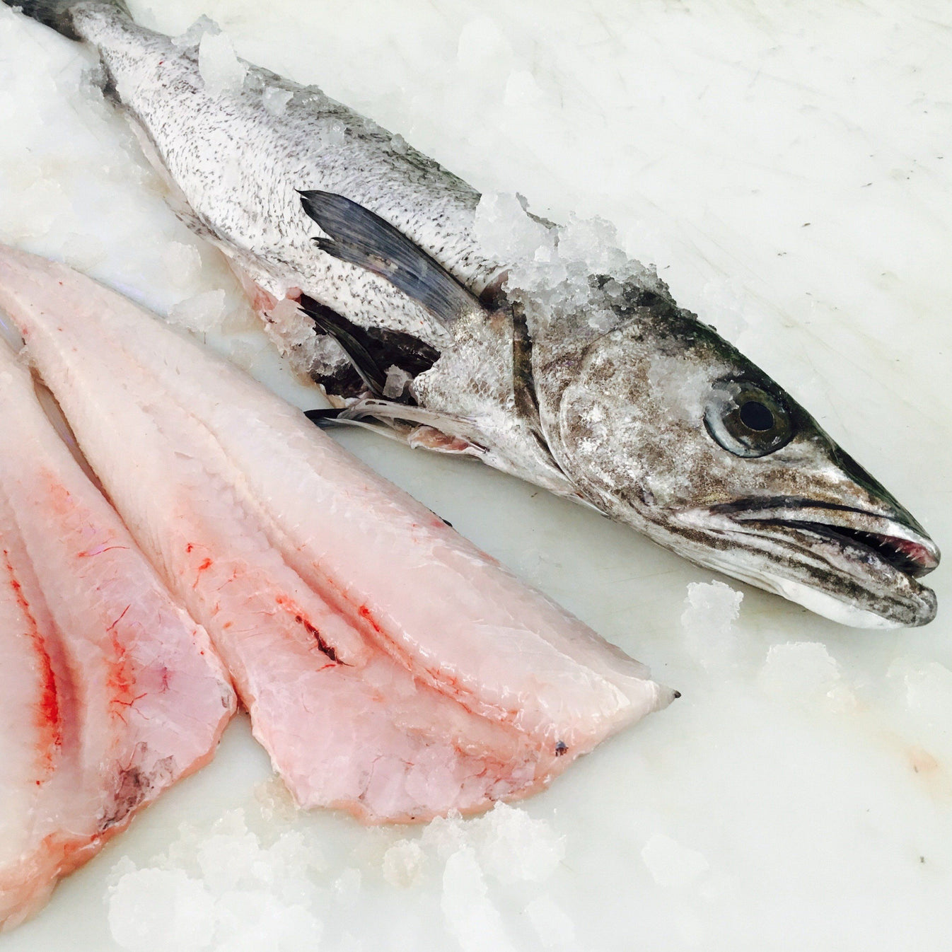 Classic Hake Bulk Box | Frozen Box | Wild caught | 7.5kg – Greenfish