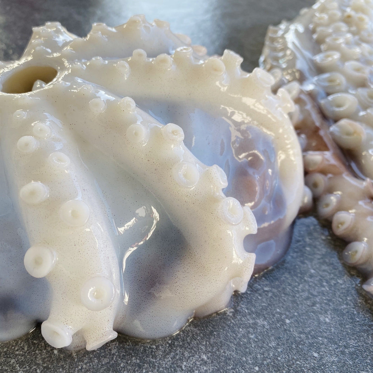 Clean Octopus Hands |Frozen Box | Wild caught | 900g – Greenfish
