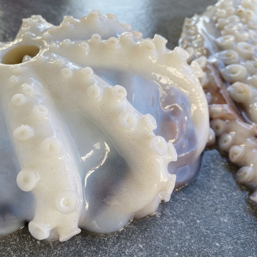 Clean Octopus Hands |Frozen Box | Wild caught | 900g – Greenfish