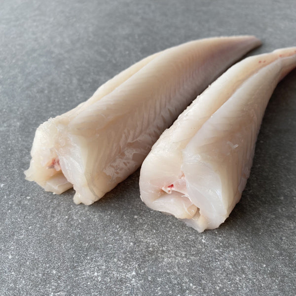 Dressed Baby Kingklip | x4 | Caught off Cape Point – Greenfish