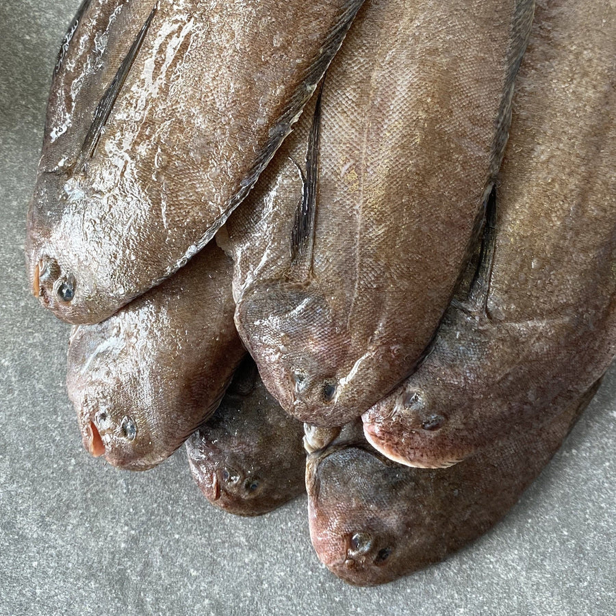 East Coast Sole | Frozen Box | Wild caught | x2 – Greenfish