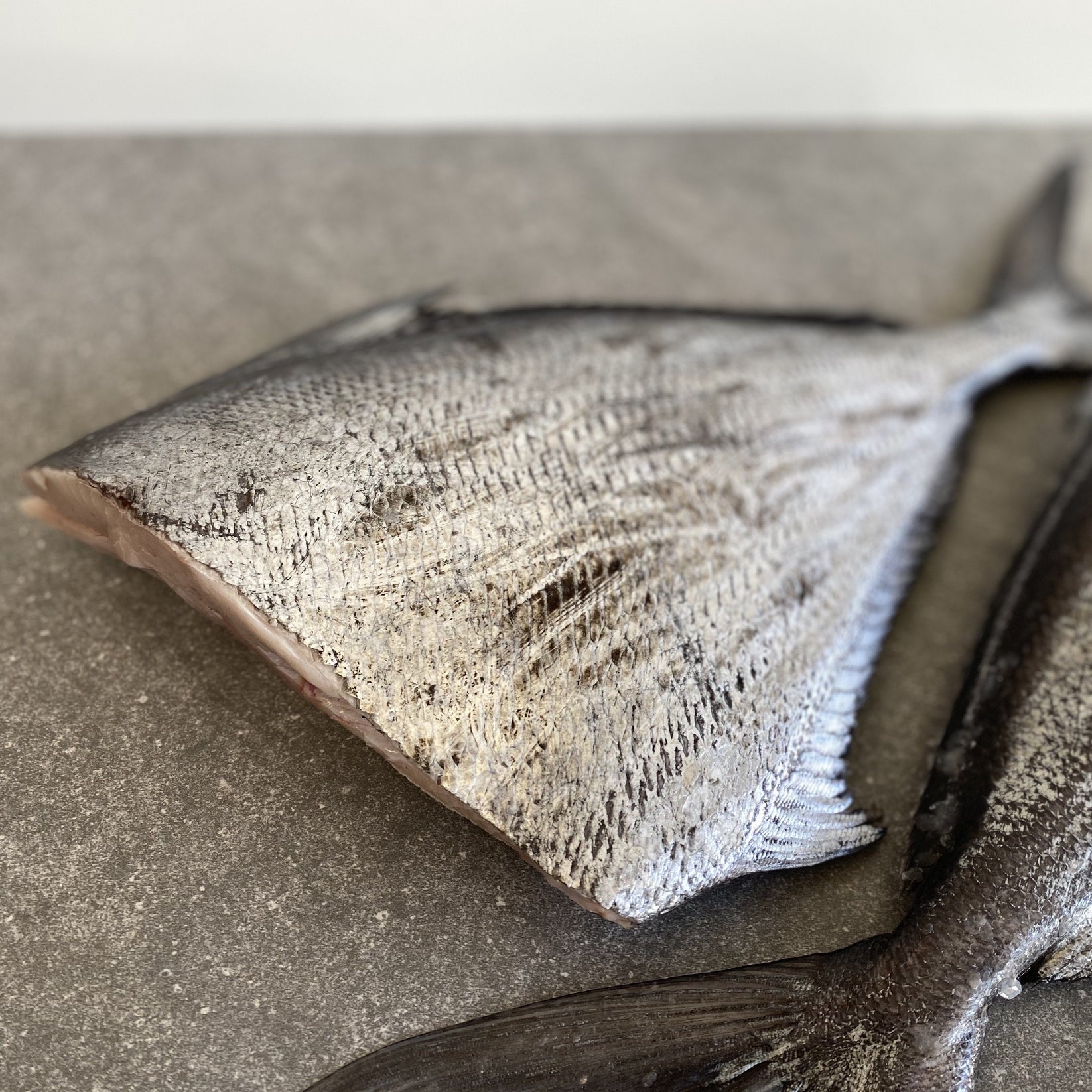 Angel Fish Fillets | Fresh Fish Box | Caught off Cape Point – Greenfish
