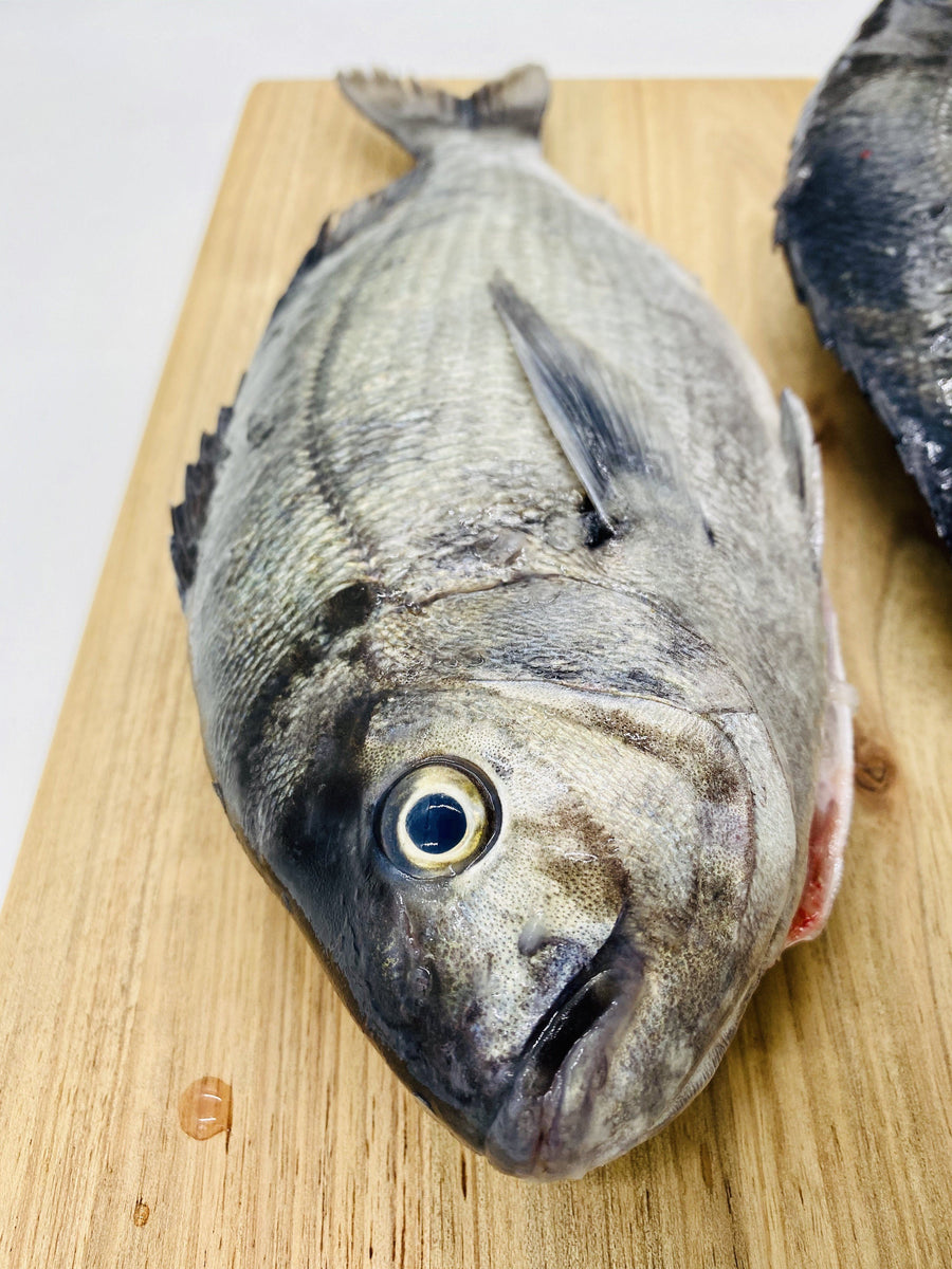 Cape Bream | Fresh Fish Box | Caught in Table Bay – Greenfish