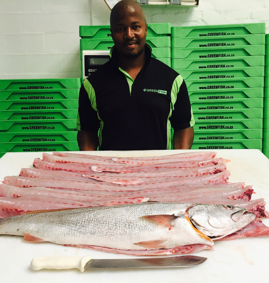 Cape Salmon Fillets | Fresh Fish Box | Caught in Struisbaai – Greenfish