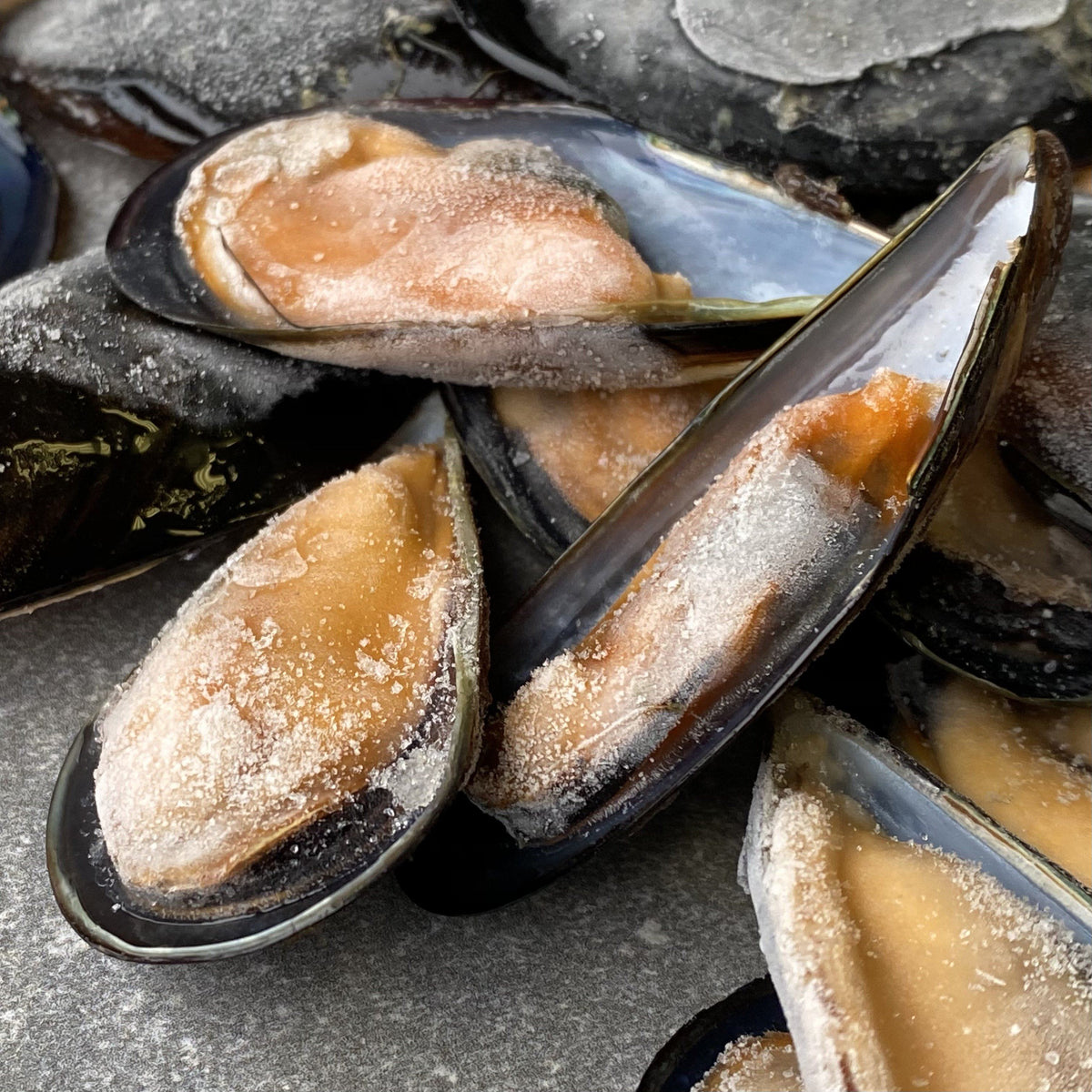 Half Shell Black Mussels Box | Farmed on the West Coast | 1.6kg – Greenfish