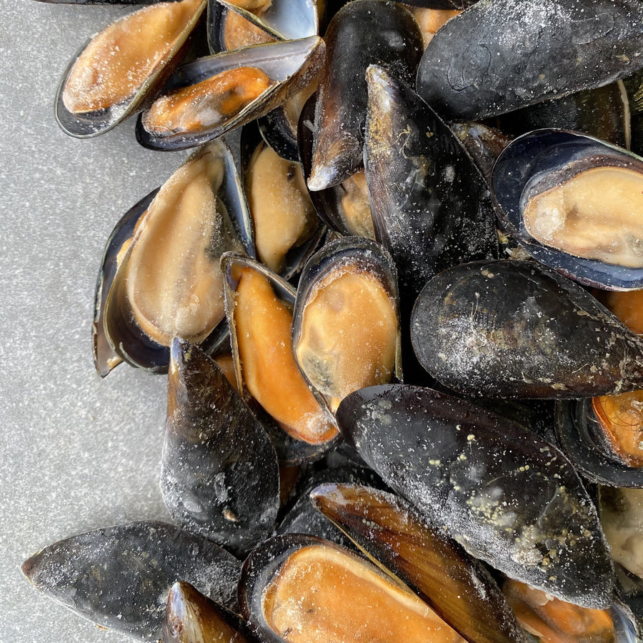 Half Shell Black Mussels Box | Farmed on the West Coast | 1.6kg – Greenfish
