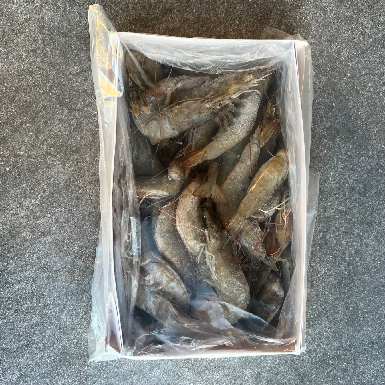 King Prawns Whole | Easy Cut | Frozen Box | Cultivated | 1.6kg – Greenfish