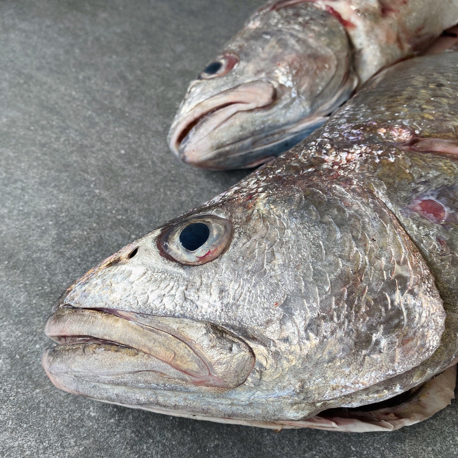 Greenfish Boxes - Fish Boxes