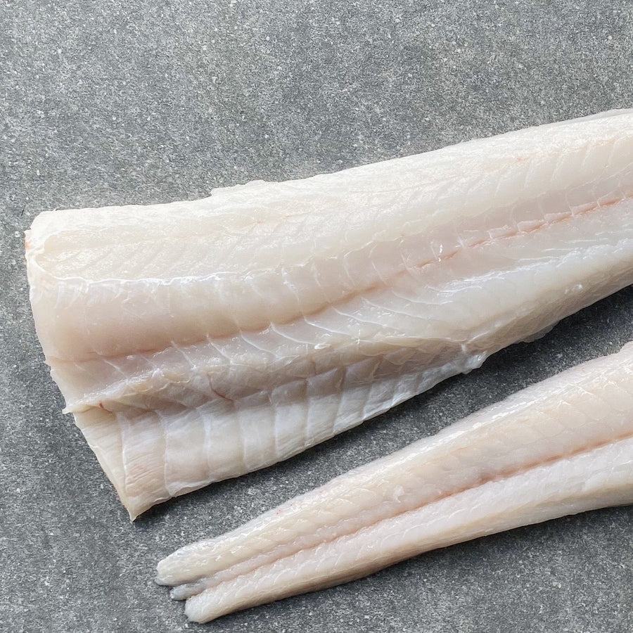 Kingklip Fillets | Fresh Fish Box | Wild caught – Greenfish