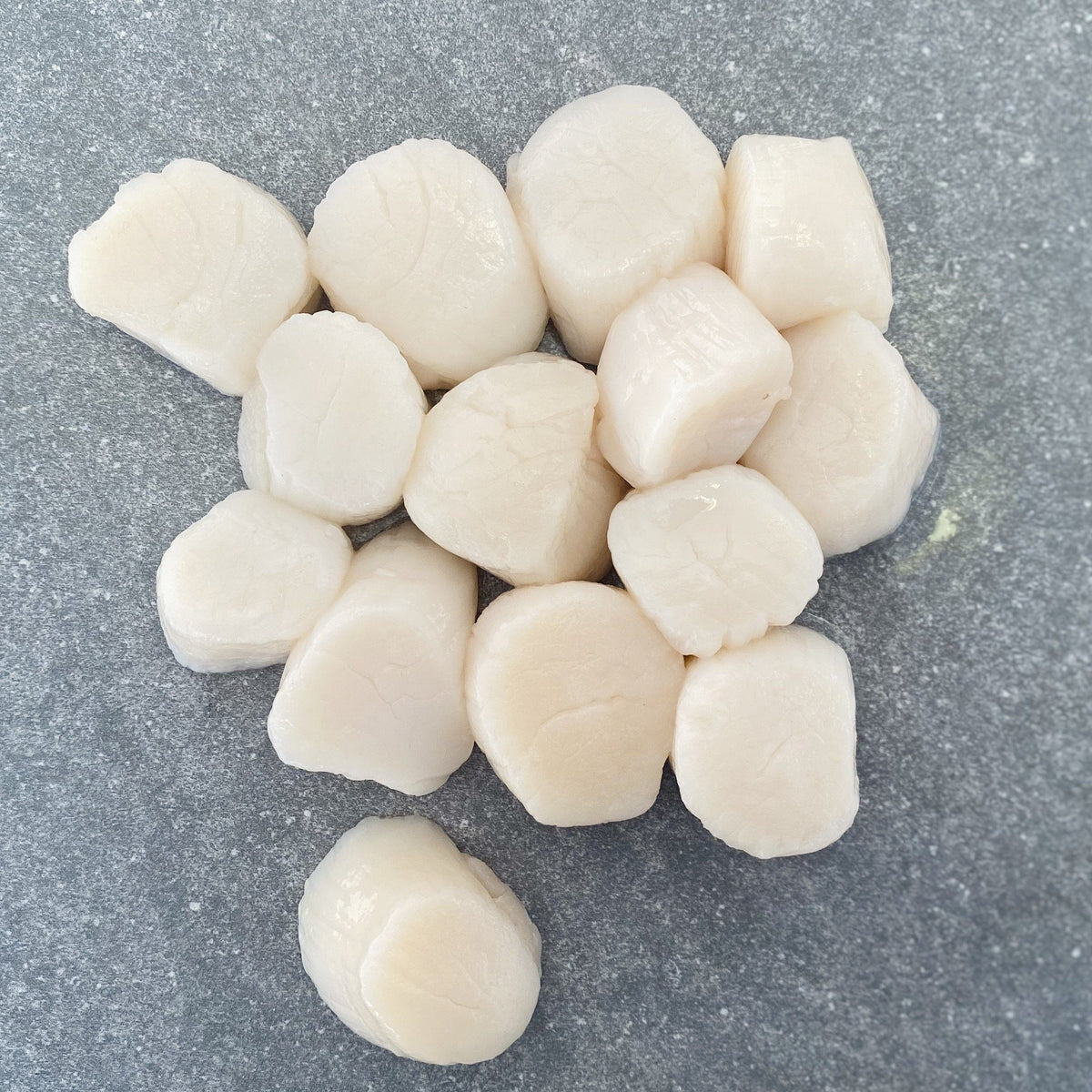 Large Scallops | Frozen Box | Wild caught | 800g – Greenfish