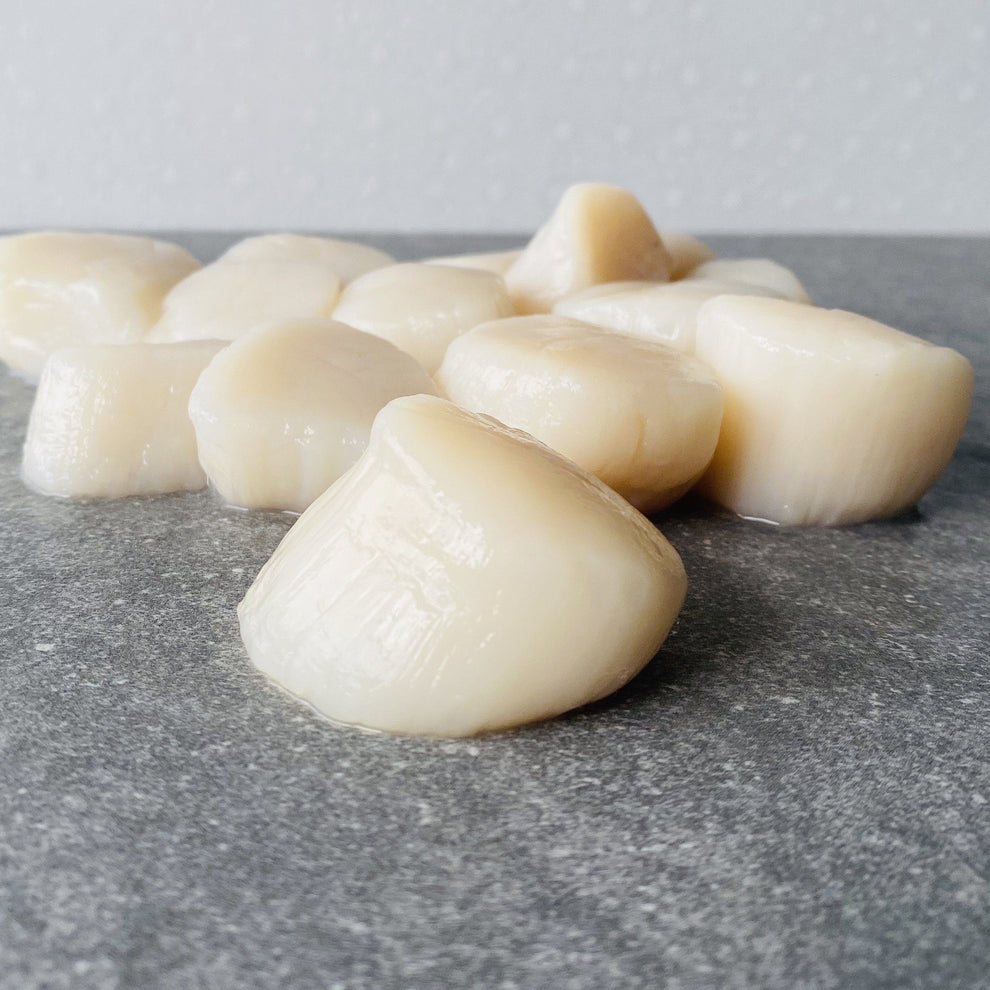 Large Scallops | Frozen Box | Wild caught | 800g – Greenfish