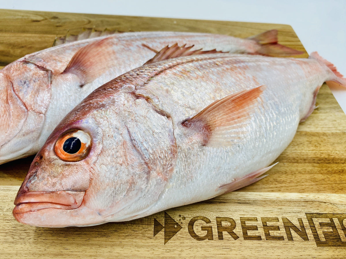 Silver Fish | Fresh Fish Box | Caught in Struisbaai – Greenfish