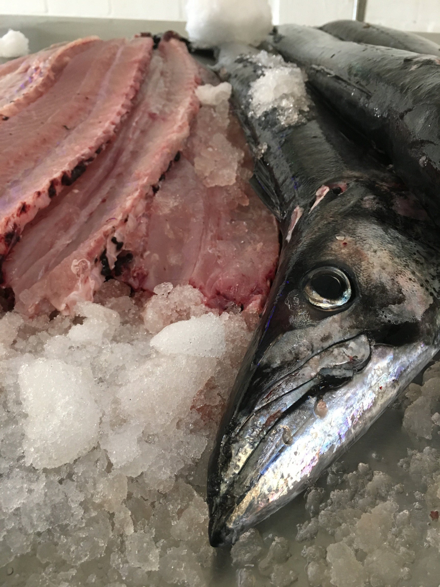 Traditional West Coast Snoek | Frozen Box | Wild Caught | 2.5kg – Greenfish