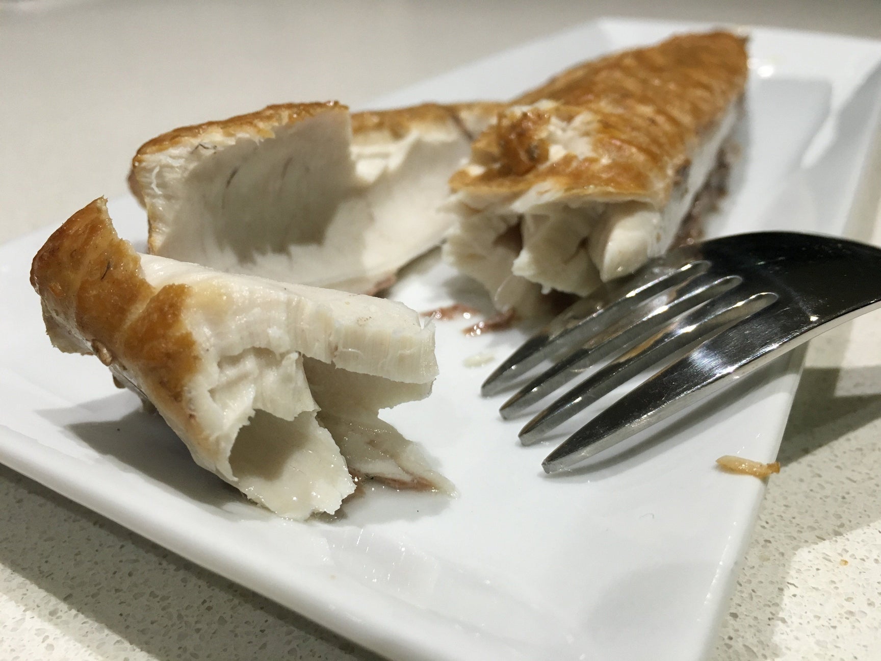 Traditional West Coast Snoek | Frozen Box | Wild Caught | 2.5kg – Greenfish