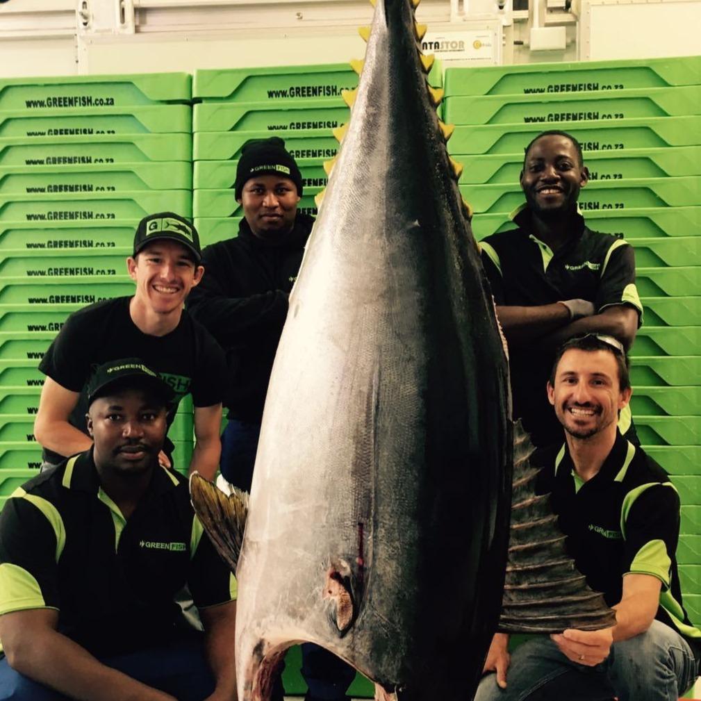 Tuna Steaks | Fresh Fish Box | Caught off Cape Point – Greenfish