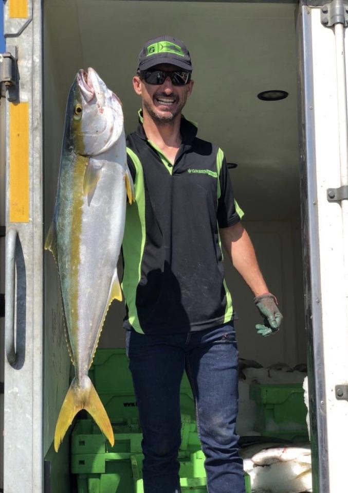 Yellowtail Fillets | Fresh Fish Box | Wild caught – Greenfish