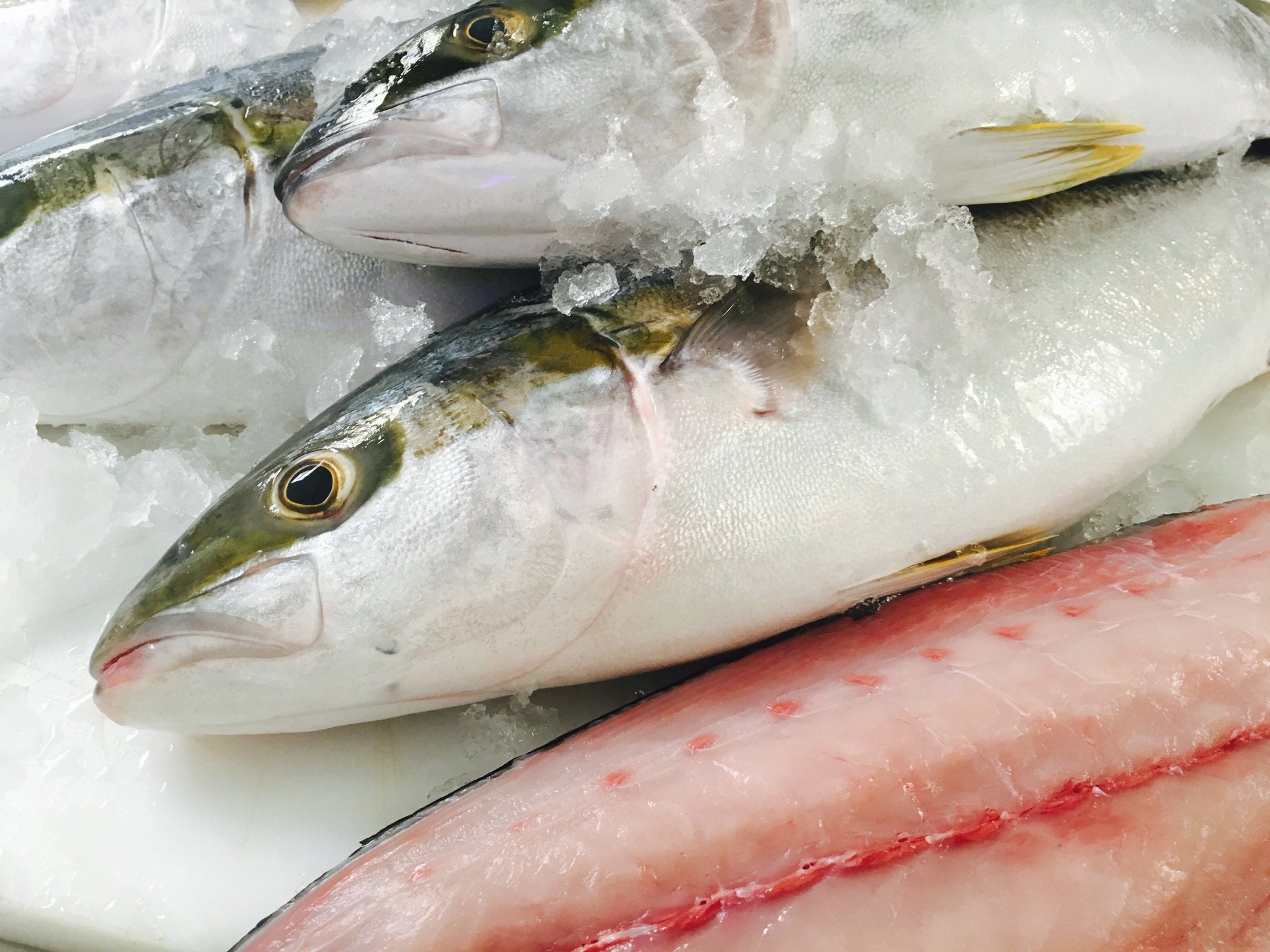 Yellowtail Fillets | Fresh Fish Box | Wild caught – Greenfish